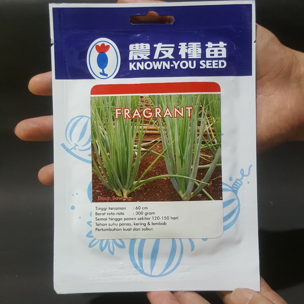 Jual Daun Bawang Benih Daun Bawang / Benih Daun Pre Fragrant | Shopee ...