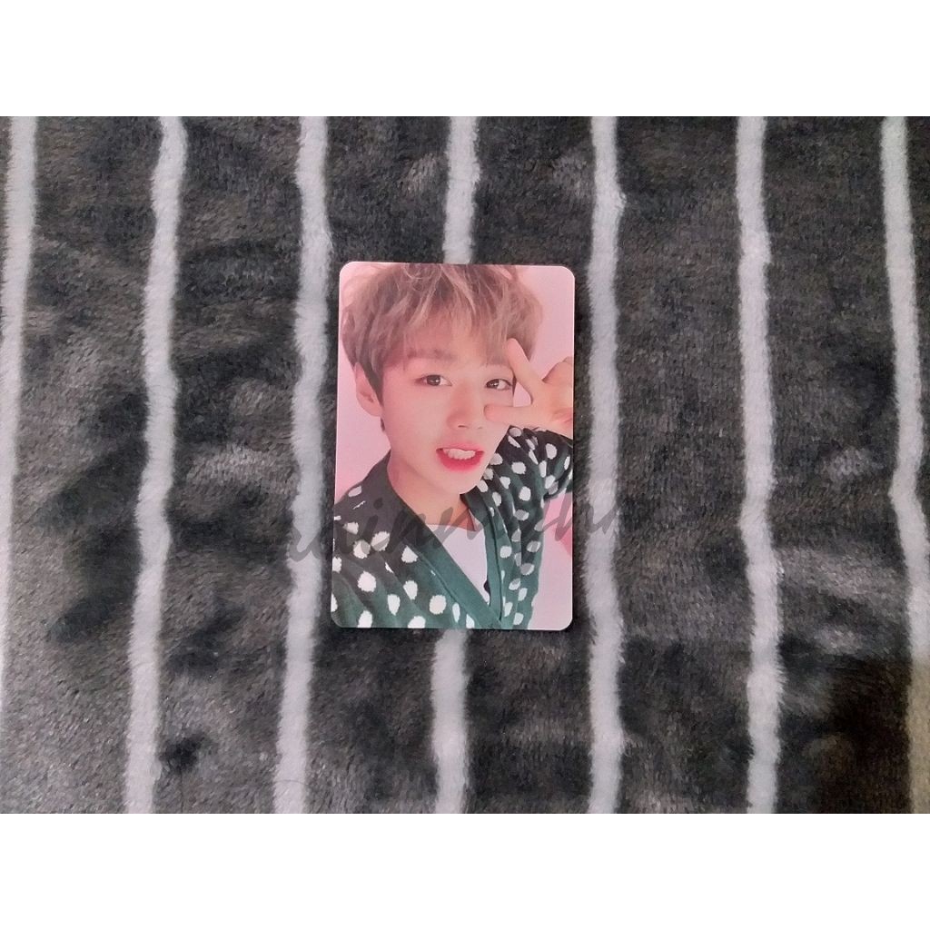 Jual Park Jihoon Maykit Fankit 1st Gen Photocard/PC Official (SHARING ...