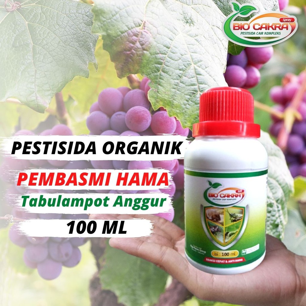Jual Pestisida Organik Tanaman Tabulampot anggur brazil, Obat Pembasmi ...