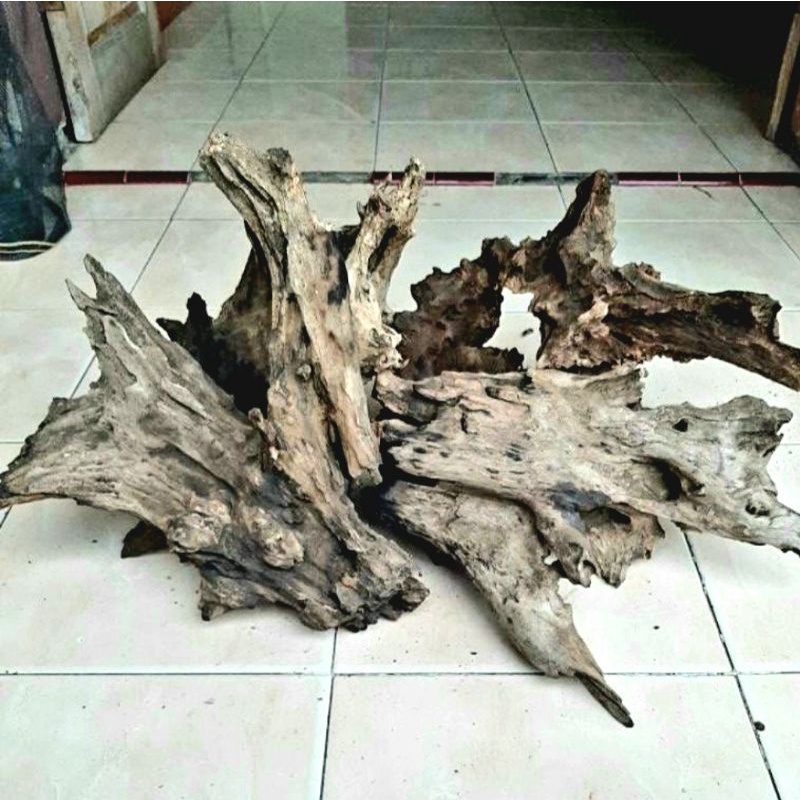 Jual Kayu Rentek aquascape, mega tank ukuran xxl | Shopee Indonesia