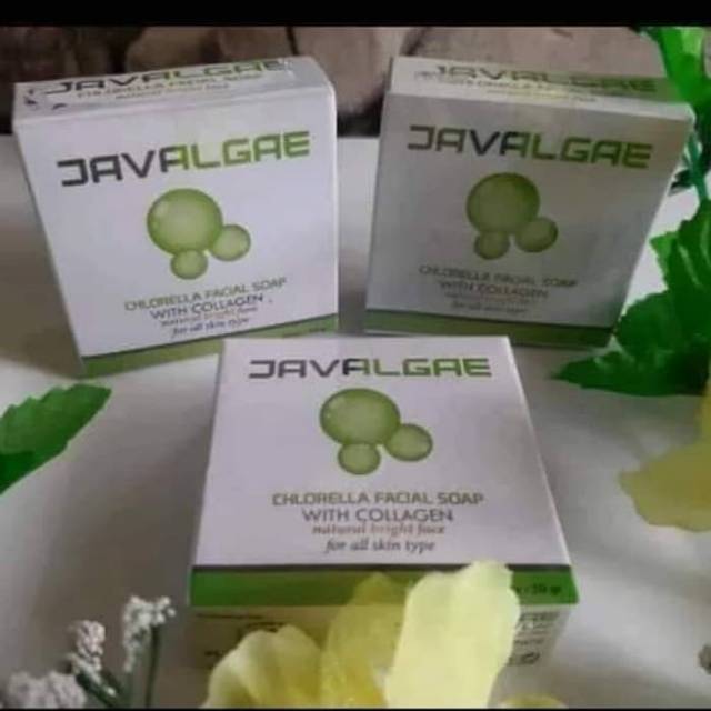 Jual JAVAL GAE NASA - JAVALGAE | Shopee Indonesia