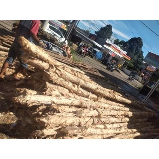 Jual Kayu Gelam Terlengkap & Harga Terbaru Maret 2026 | Shopee Indonesia