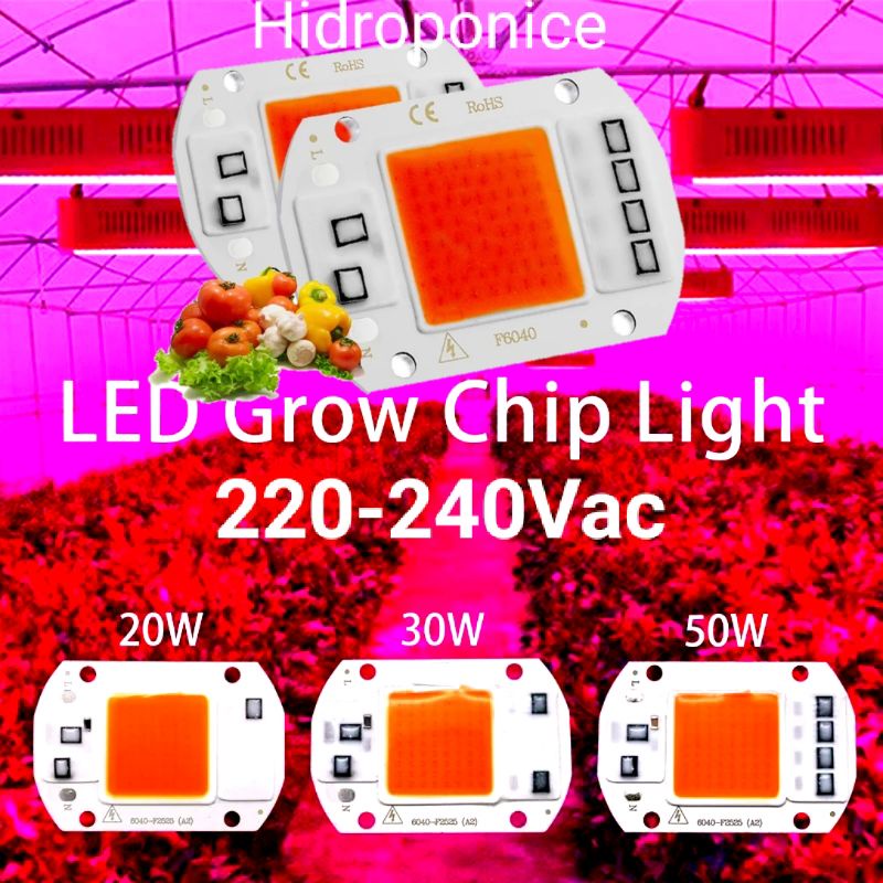 Jual Led cob 220V 50W 30W 20W grow light hydroponic chip IC tanpa ...