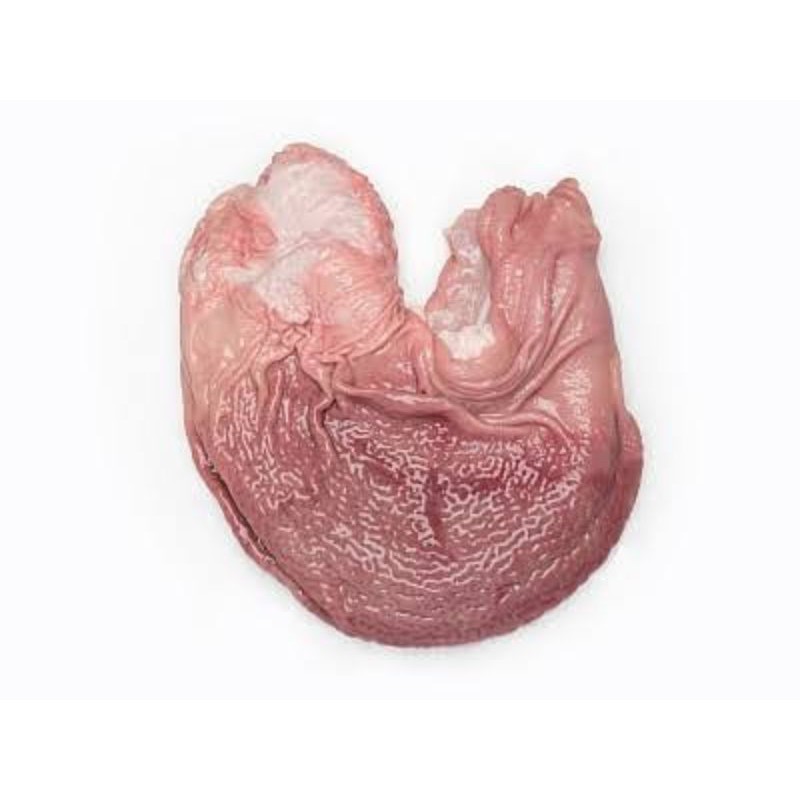 Jual Tito / Perut Babi - Daging babi premium kualitas supermaket (per ...