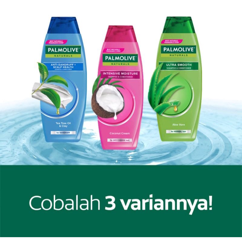 Jual Palmolive Naturals Intensive Moisturr Coconut Cream Shampo ...