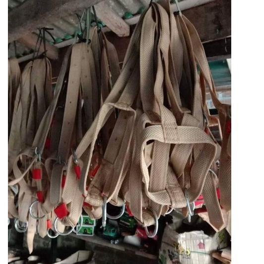 Jual (MENARIK!!) TALI SAPI/HEAD HALTER/BRONGSONG SAPI/TALI KELUH SAPI ...