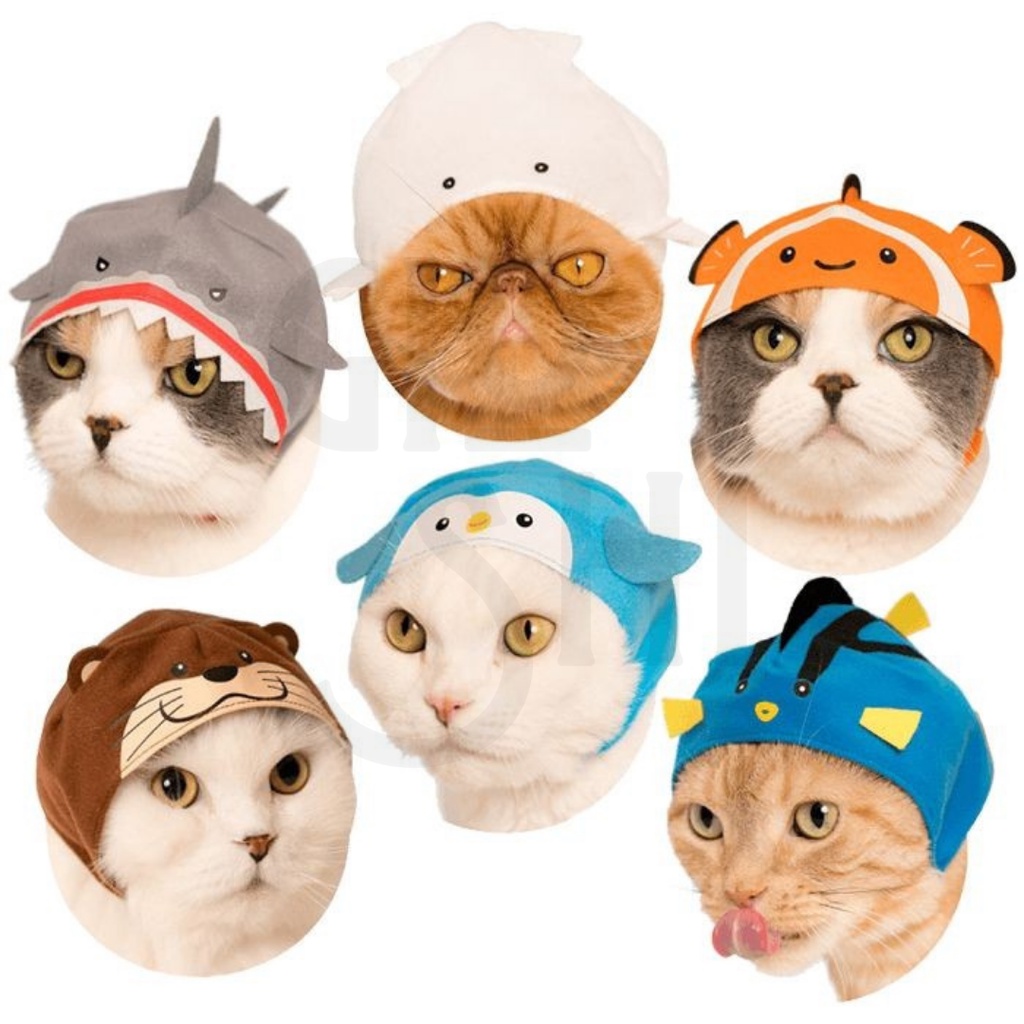 Jual stiker aesthetic Cute Cat by Gioshi.Store | Shopee Indonesia