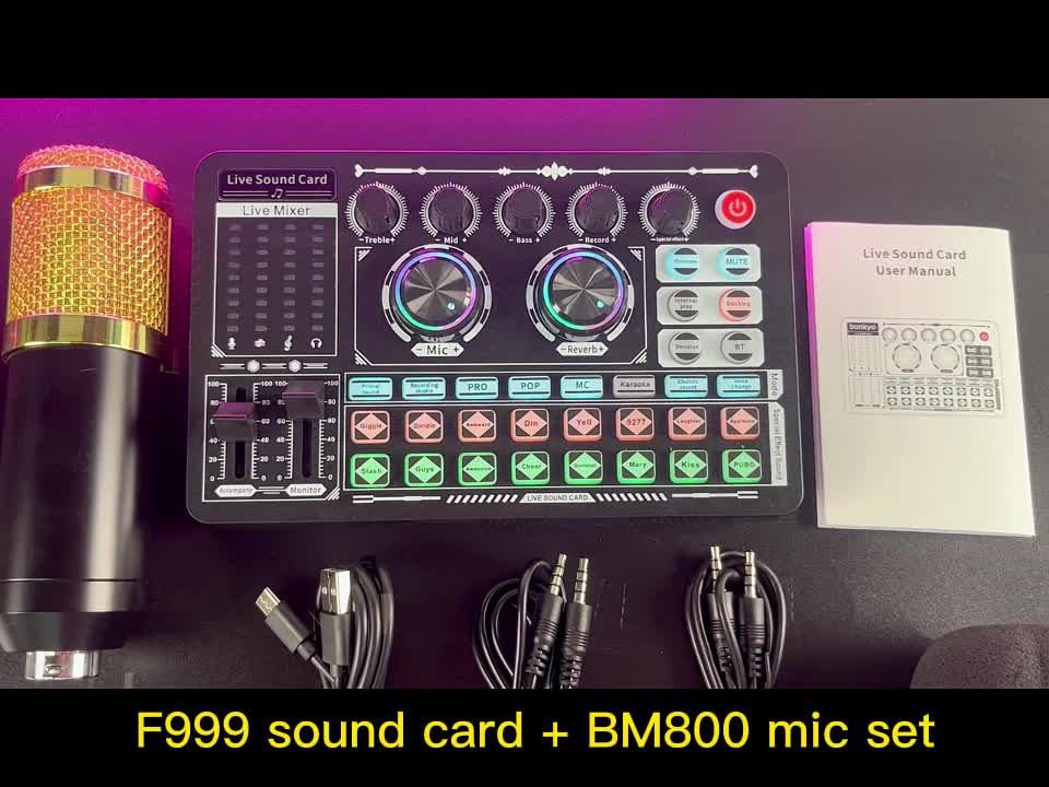 Jual Siborie BM800+F999 sound card FULL SET Cantilever support paket ...