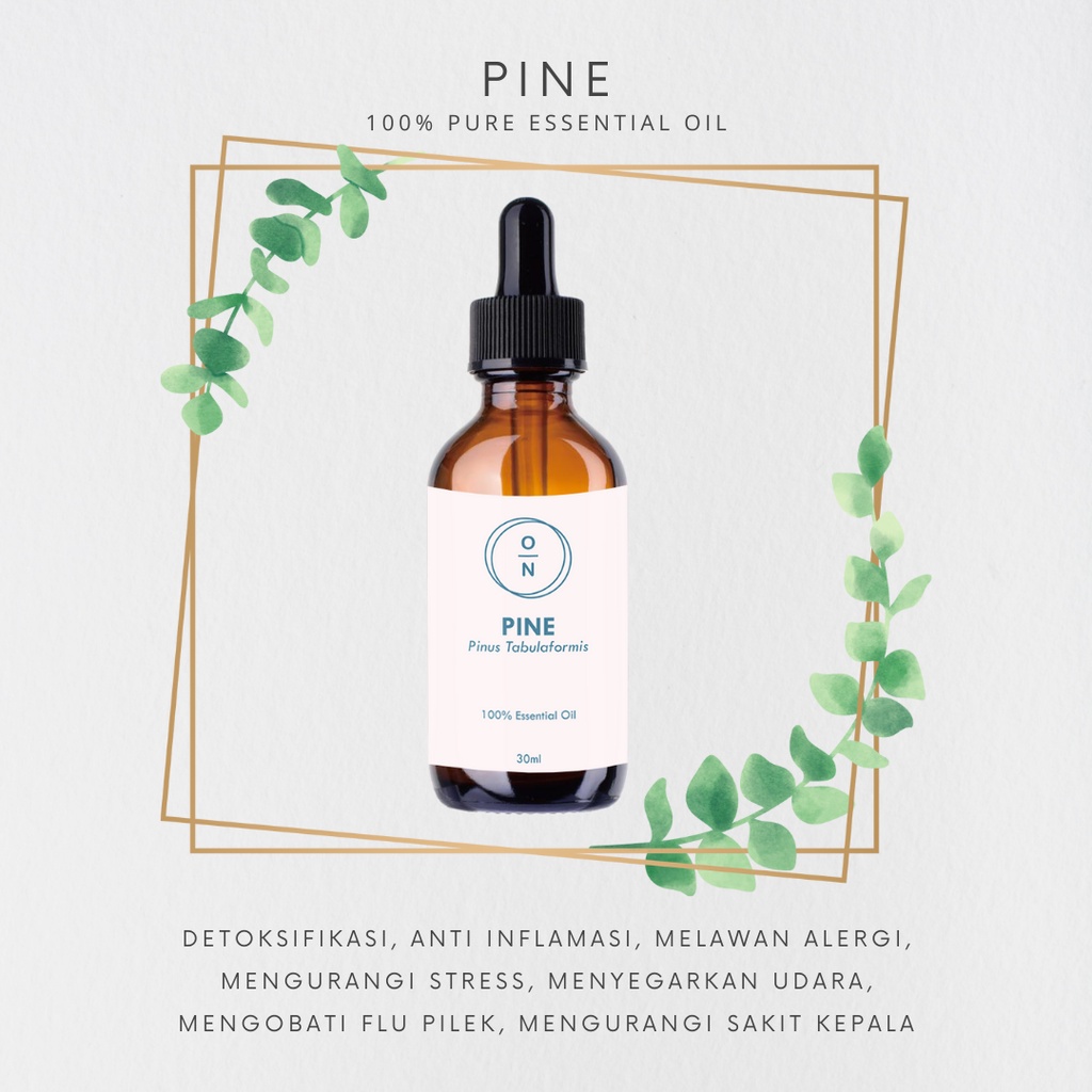 Jual Pine Essential Oil Diffuser Humidifier Minyak Esensial Air Purifier Aromatherapy Oil Pine ...