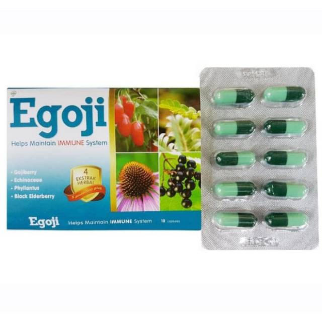 Jual EGOJI TABLET SUPPLEMEN BUAT SISTEM IMUN ISI 10 KAPSUL | Shopee ...