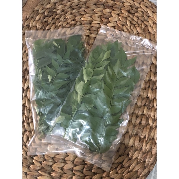 Jual DAUN KARI/ CURRY LEAF/ SALAM KOJA/ KOROBELEK/ TEMURUI/ DAUN SEGAR ...