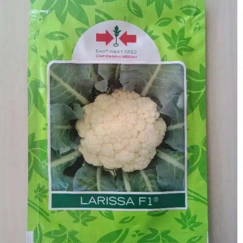 Jual Benih bunga kol LARISSA F1 10 gram biji kembang kol putih hibrida ...