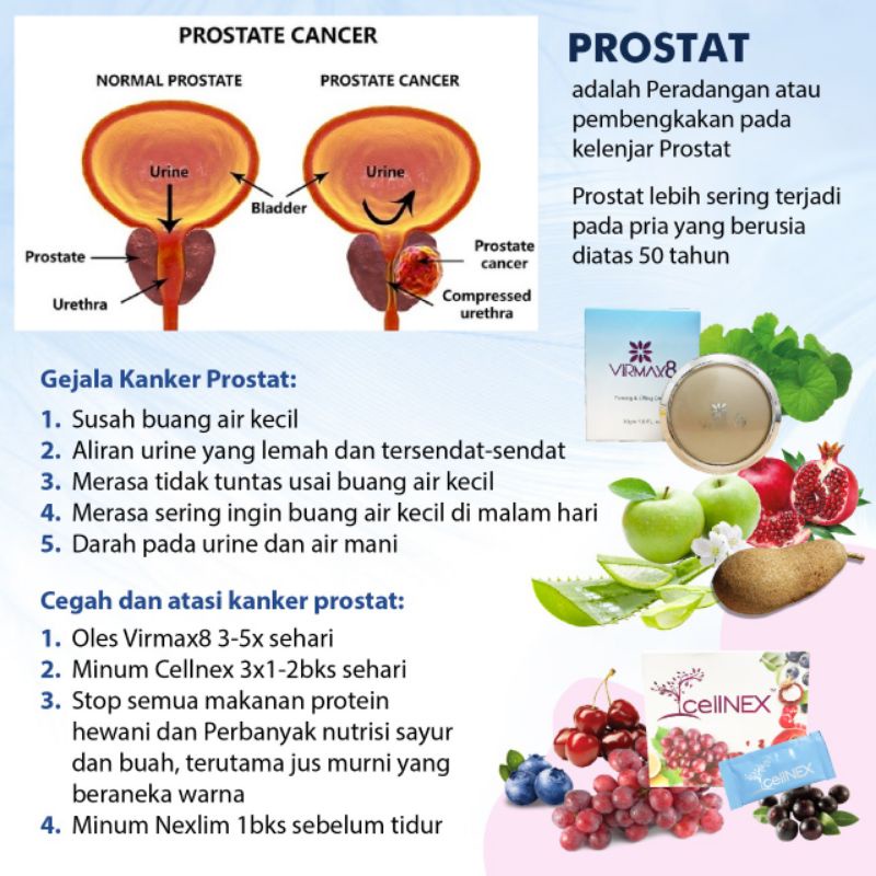 Jual Virmax8 PT Nex virmax 8 cream oles utk peredaran darah, daya tahan ...