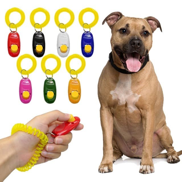 Jual Alat Melatih Anjing Clicker Ultrasonik Dog Trainining Ultrasonic ...