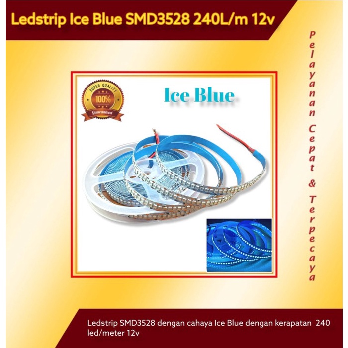 Jual Ledstrip SMD3528 240 led per meter warna Ice Blue 12v 10mm PCB ...