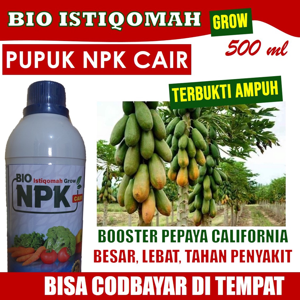 Jual PUPUK BOOSTER Buah Pepaya California dll Terbaik isi 500 ML ISTIQOMAH - Pupuk NPK Cair ...