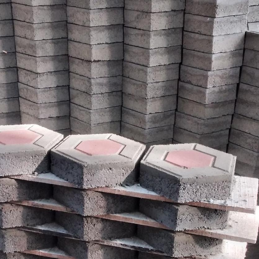 Jual SALEE!!!!.. AJB - Paving Blok Taman Segi Enam Press Manual Merah ...