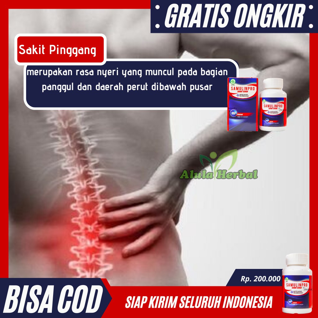 Jual Obat Sakit Pinggang Sebelah Kanan, Kiri, Tulang belakang Bawah ...