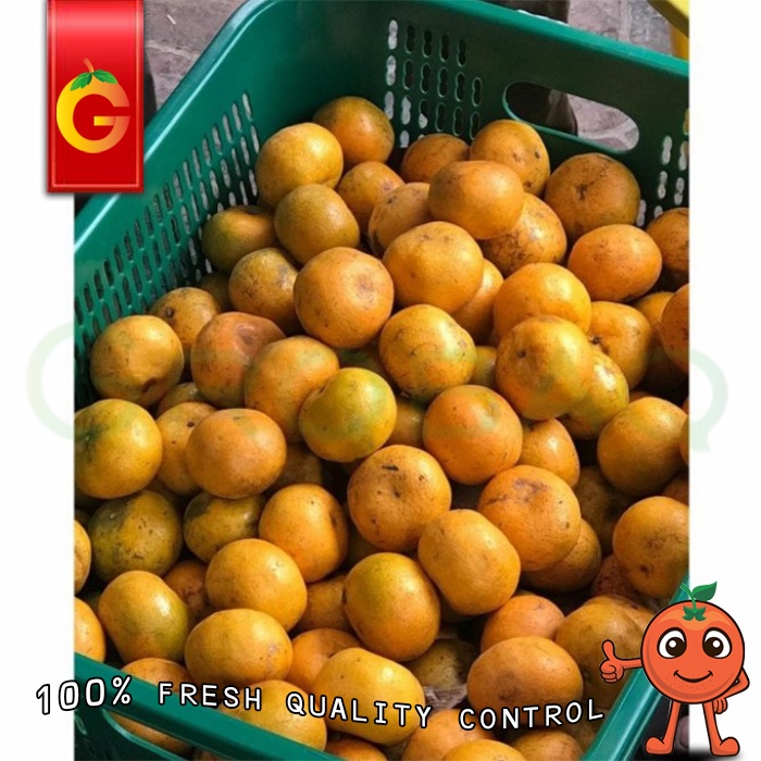 Jual Jeruk Medan Kecil Manis 1 kg | Shopee Indonesia