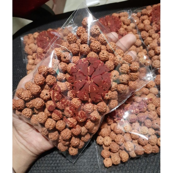 Jual Biji jenitri Grade A 200 biji | Shopee Indonesia