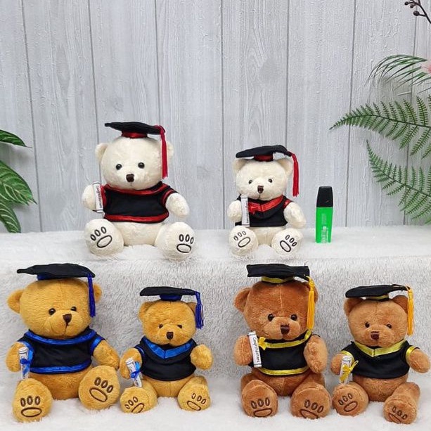 Jual Boneka Bear Wisuda 16cm/5"/boneka toga/boneka beruang/teddy bear ...