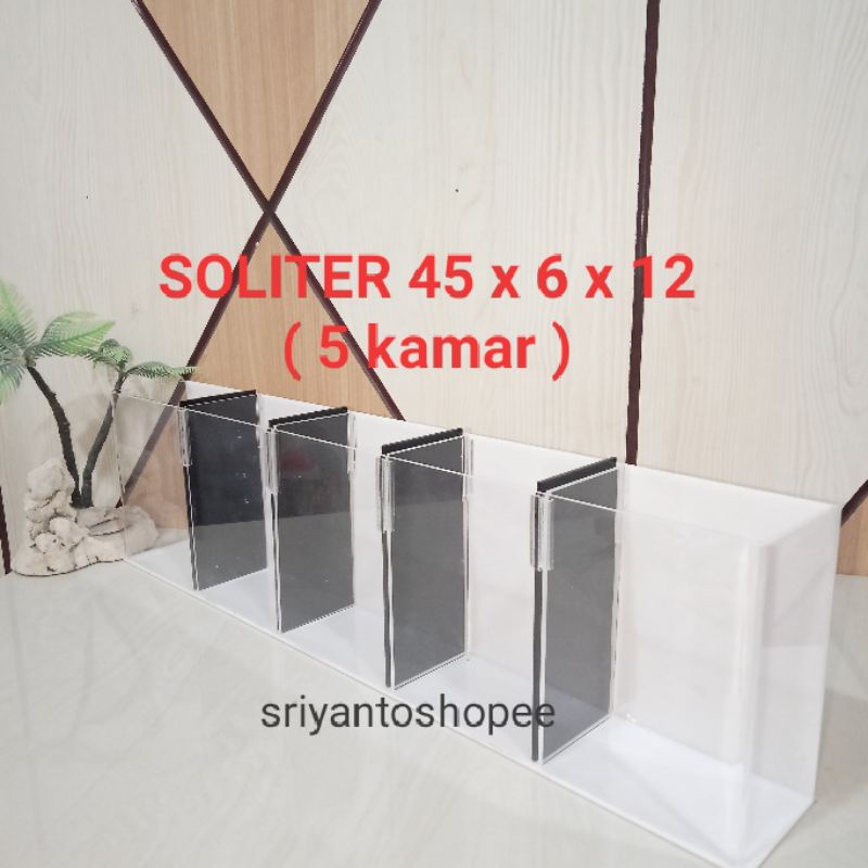 Jual Soliter Akrilik 45 x 6 x 12 ( 5 Kamar ) Soliter Cupang Akuarium Akrilik Soliter Background ...