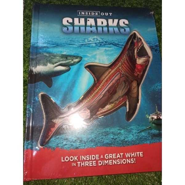 Jual Buku impor pengetahuan anak - BBW - Inside Out - SHARK | Shopee Indonesia