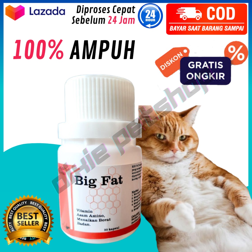 Jual TERLARIS!!! BIG FAT Vitamin Penggemuk Kucing BIG FAT Vitamin ...