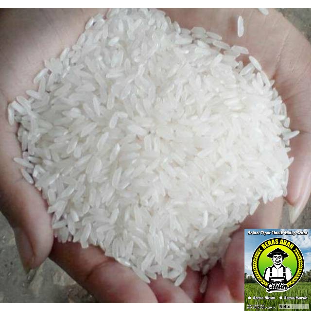 Jual BERAS PREMIUM / BERAS PULEN / CAP PONYO LABEL 1KG | Shopee Indonesia
