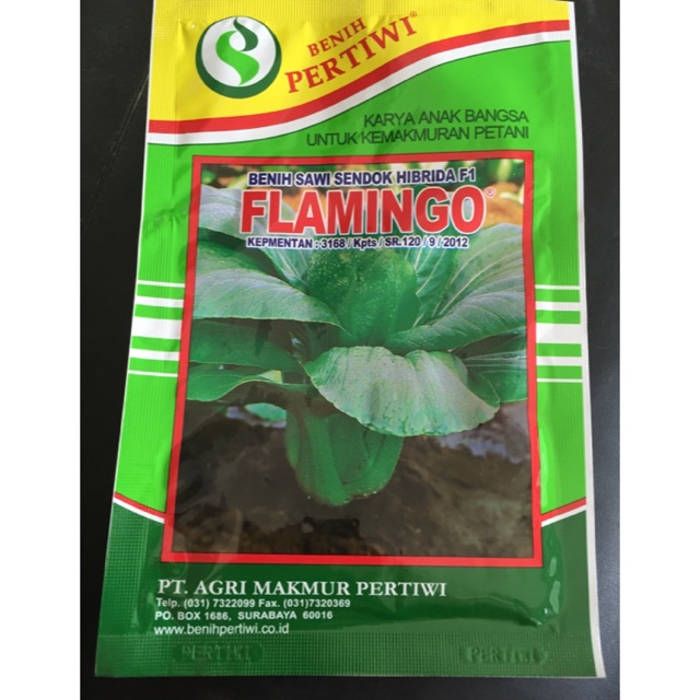 Jual TT99 Benih bibit Sawi sendok FLAMINGO 10 gr pak choy pakcoy ...