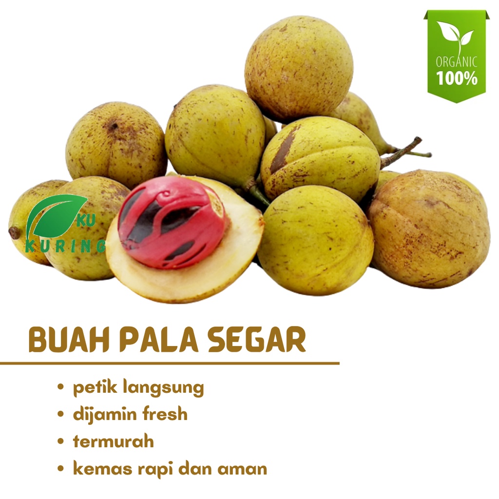 Jual KUKURING Buah Pala Segar - Petik Langsung Dijamin Fresh | Shopee ...