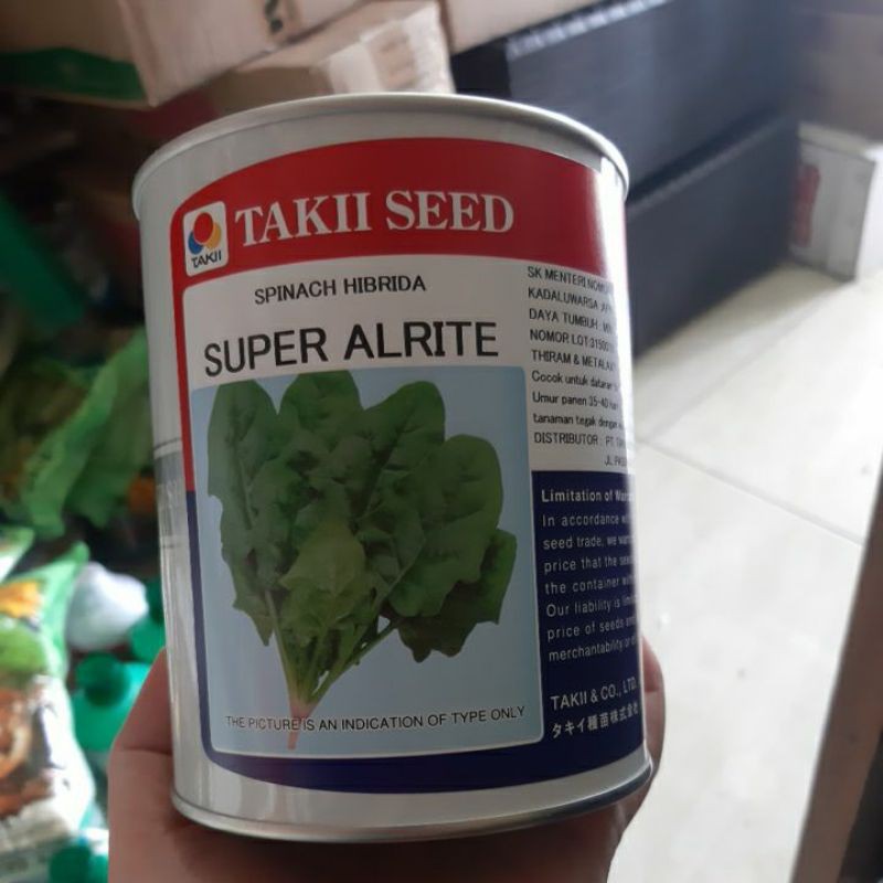 Jual benih bayam jepang /horinso / spinach super alrite takii 250gr ...