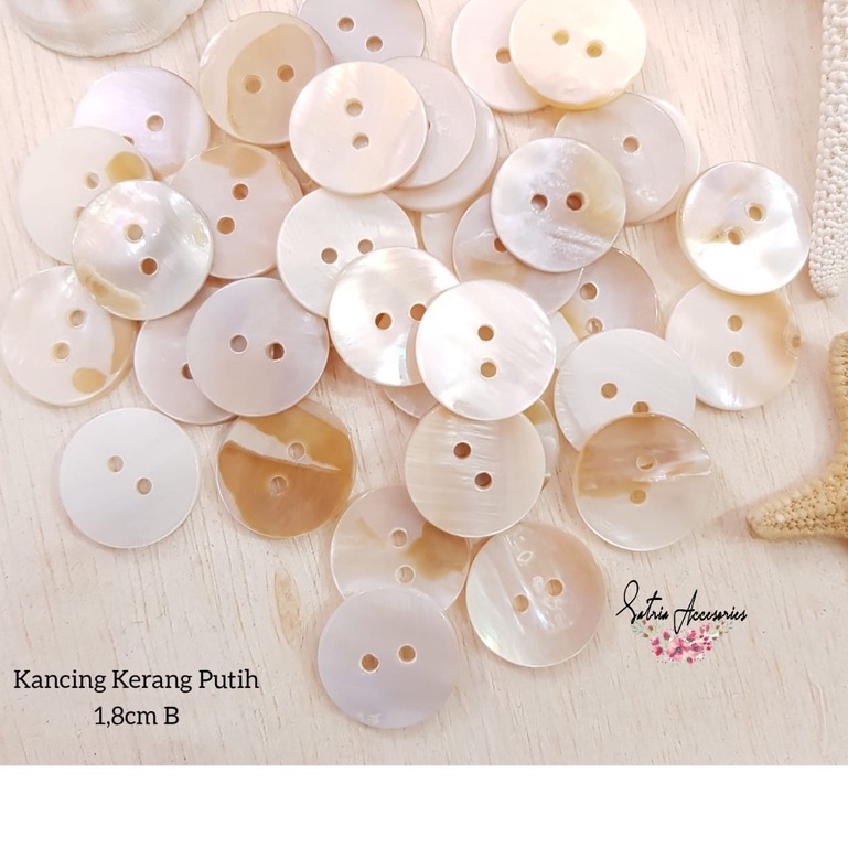 Jual Kancing Kerang/Kancing Kerang Putih Ukuran 1,8Cm A/Kancing Hias ...