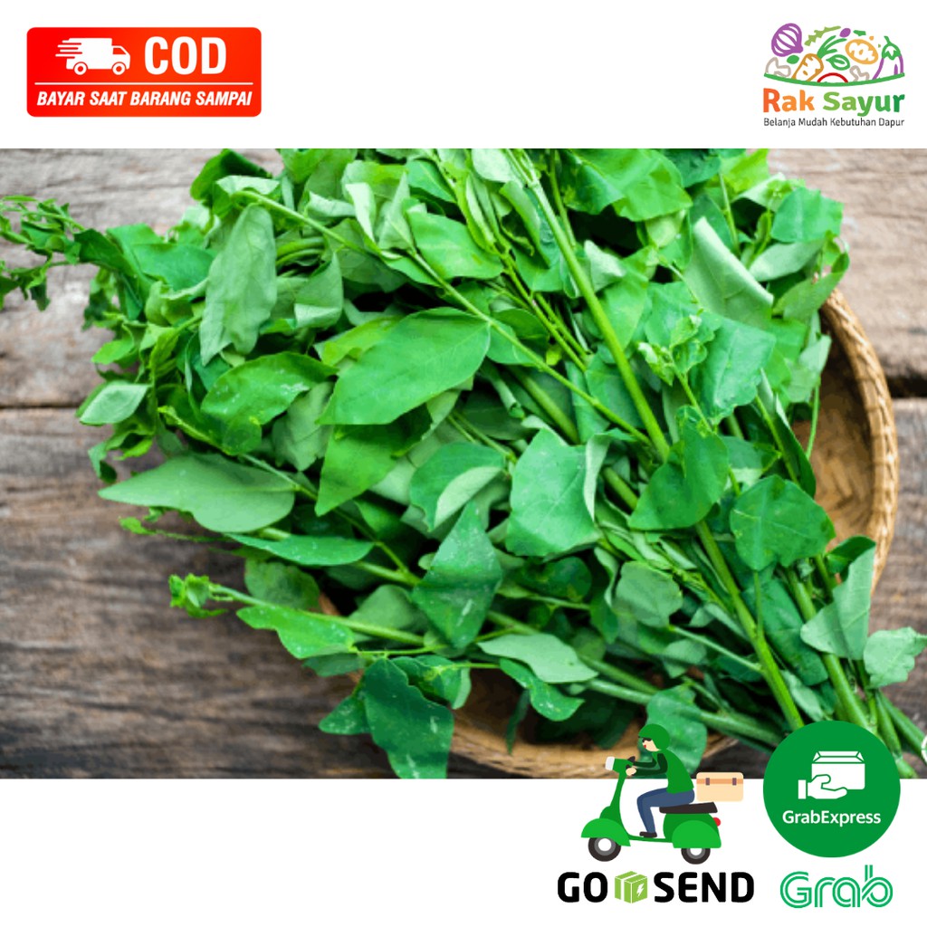 Jual Sayuran Segar Daun Katuk Per Ikat Sehat Herbal Mata Fresh Rak ...