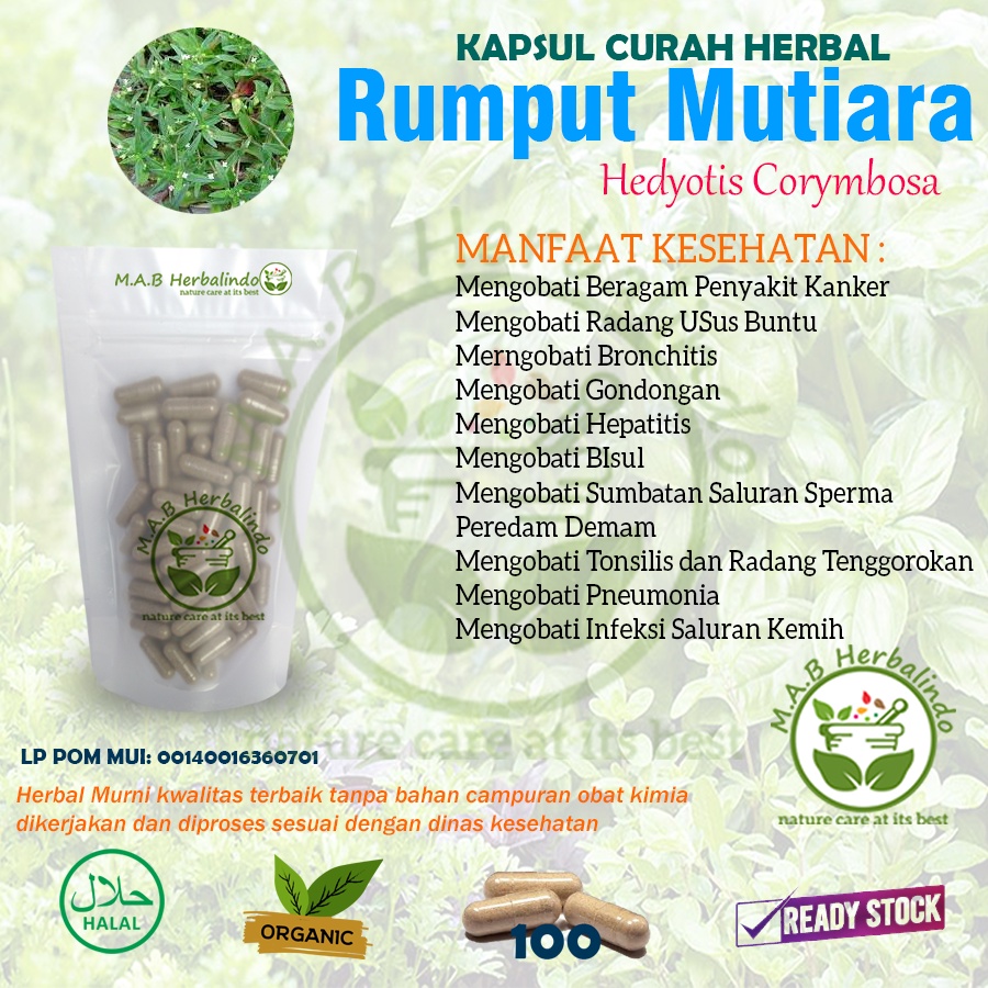 Jual RUMPUT MUTIARA 100 Kapsul Curah Herbal Sumbatan Saluran Sperma ...