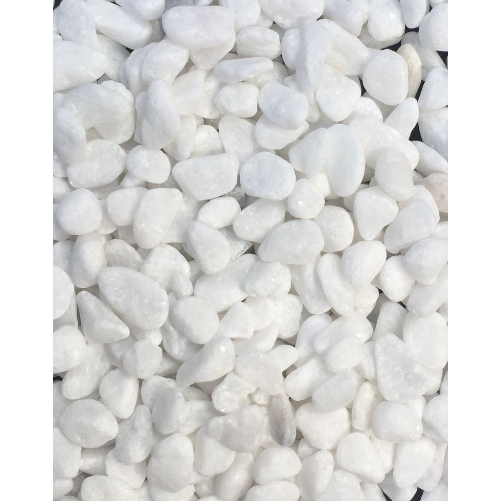 Jual Batu Koral Putih Italy Import | Shopee Indonesia