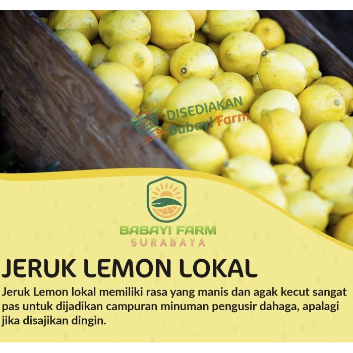 Jual Jeruk Lemon Lokal Segar 500 gr / 1 kg | Shopee Indonesia