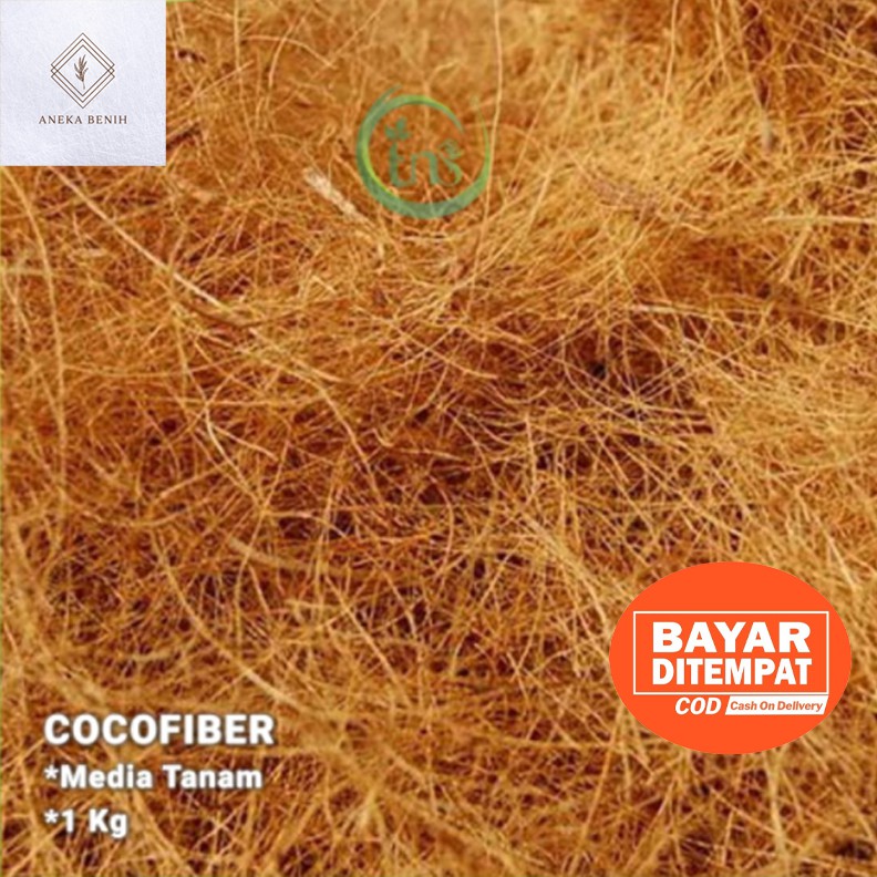 Jual Media Tanam Cocofiber Coco Fiber Serabut Kelapa Ijuk Kelapa - 1 Kg ...