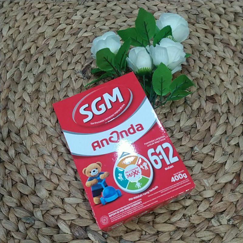 Jual SGM ANANDA 2 usia 6-12Bulan 400g &600g | Shopee Indonesia