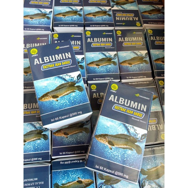 Jual Kapsul Ikan Gabus Albumin Hasanah Kutuk | Shopee Indonesia