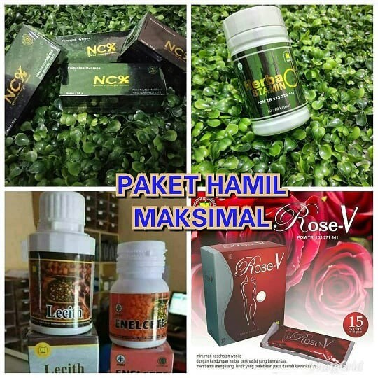 Jual paket hamil nasa(KOMPLIT) | Shopee Indonesia