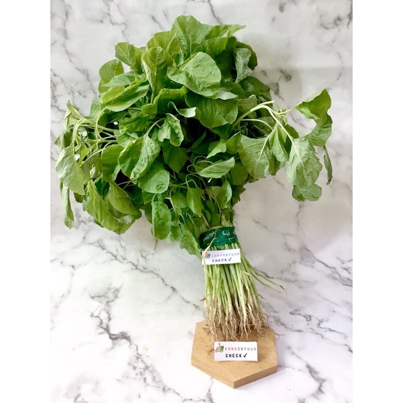 Jual BAYAM HIJAU - ( Per 1 ikat) | Shopee Indonesia