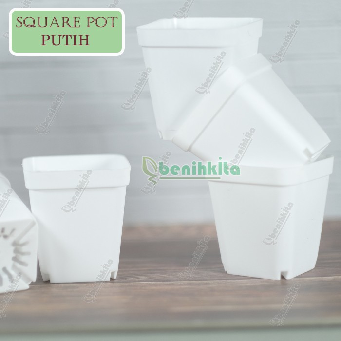 Jual Pot Kotak Semai-Square Pot Putih | Shopee Indonesia