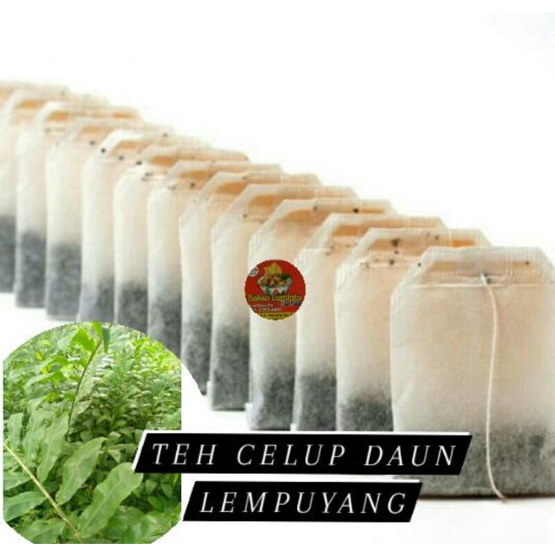 Jual teh Daun LEMPUYANG isi 20 pcs / teh celup daun lempuyang | Shopee ...