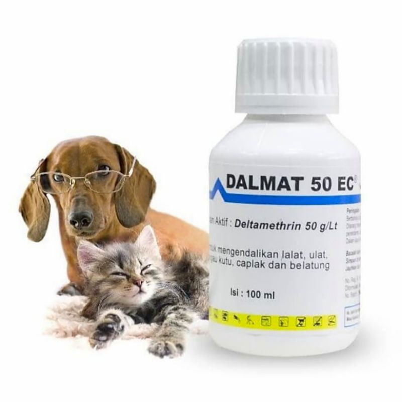 Jual DALMAT 50EC 100ml Obat Kutu ORIGINAL TERMURAH / Obat kutu Hewan ...