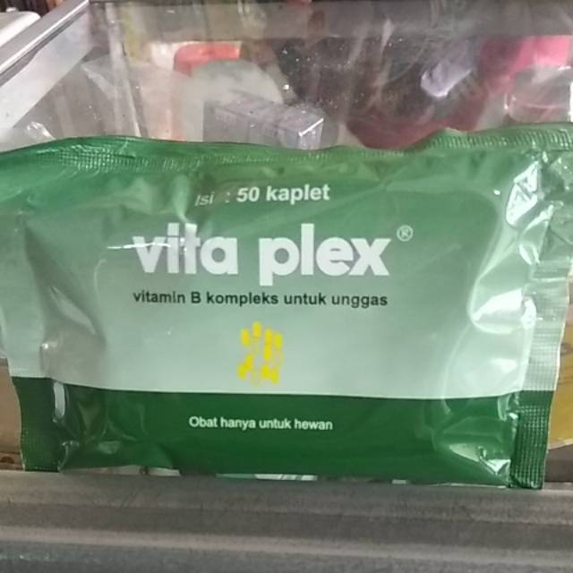 Jual Vita plex vitaplex sachet 50 kaplet vitaplek | Shopee Indonesia