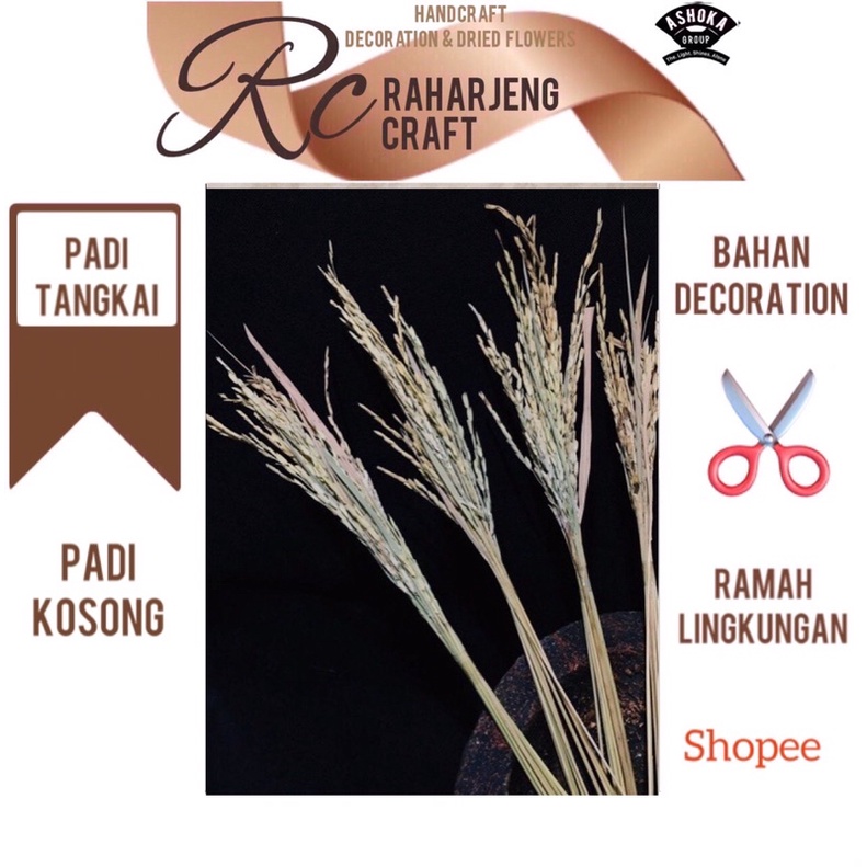 Jual 054 || 3-10 Tangkai jerami padi gabug / padi kosong / padi gagal ...