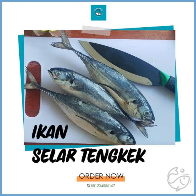 Jual Ikan selar Tengkek | Shopee Indonesia