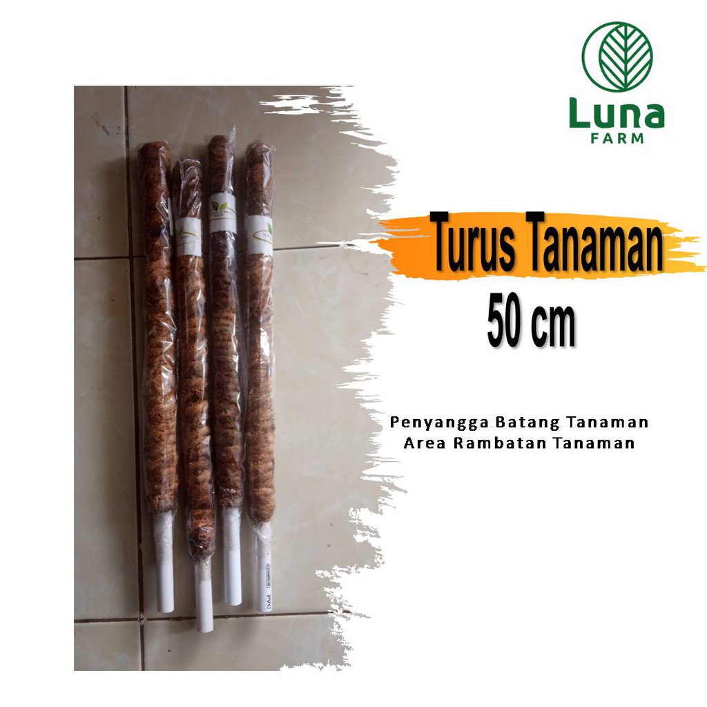 Jual Turus Penyangga Batang Tanaman Hias | Shopee Indonesia