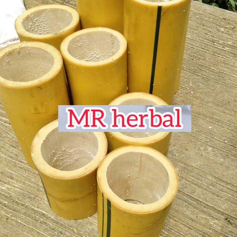 Jual Batang ruas bambu kuning perbatang | Shopee Indonesia